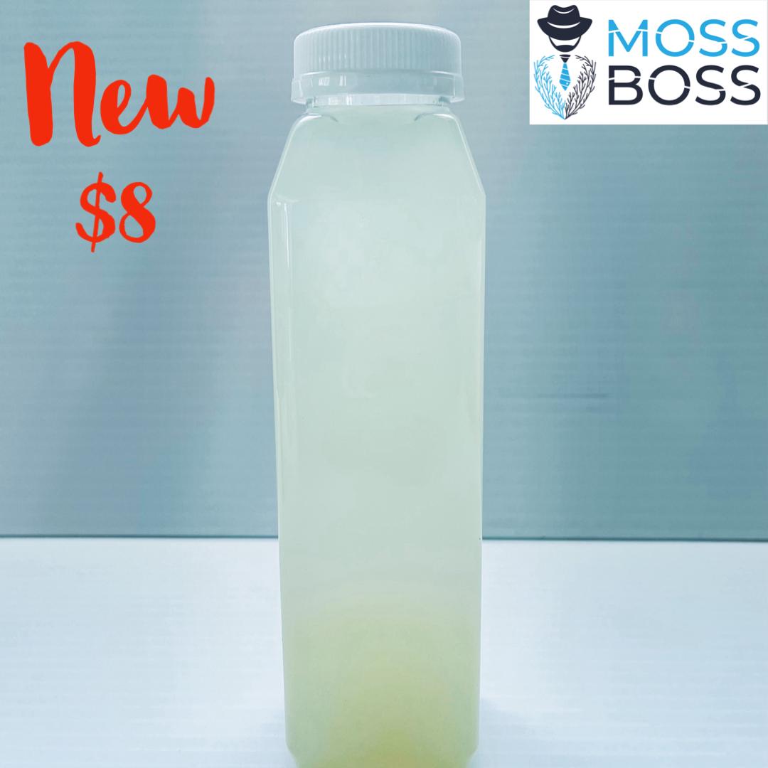 Lemonade sea moss drink (12 FL OZ) – MossBoss.US